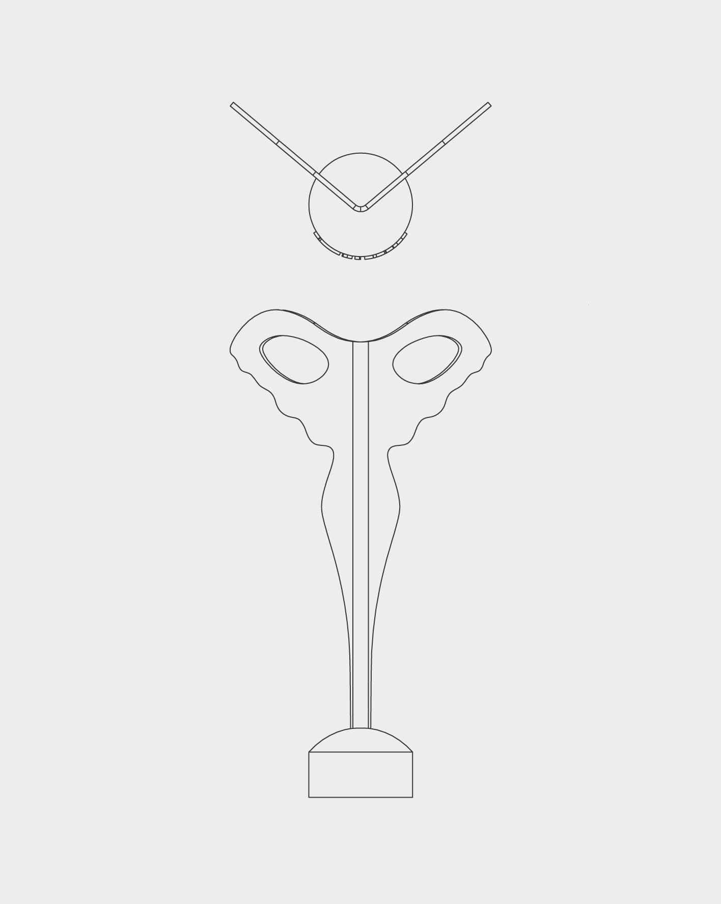 BRAND – Parasite Eyewear